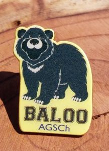 PIN METALICO BALOO - Camping Scout - tienda oficial de Guías y Scouts ...